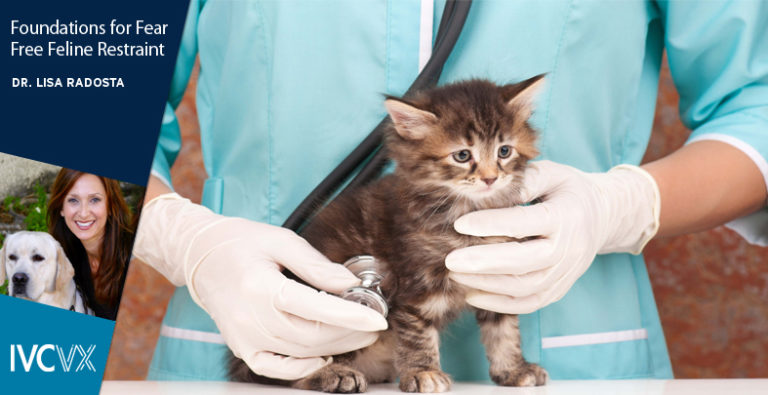 Foundations for Fear Free Feline Restraint | IVCVX