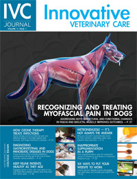 IVC Digital Issues | IVCVX